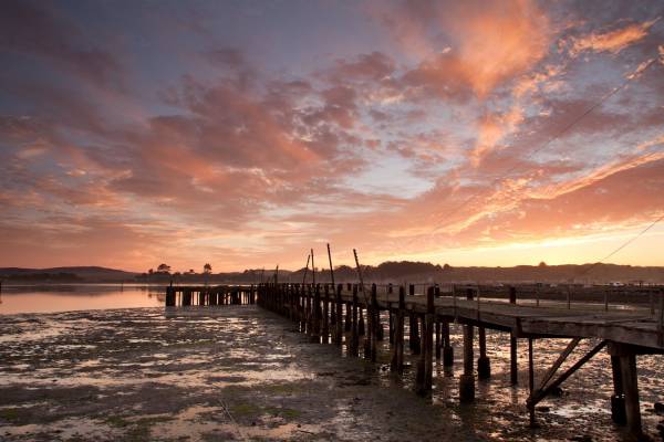 Outdoor Activities in Bodega Bay | Bodega Bay Escapes